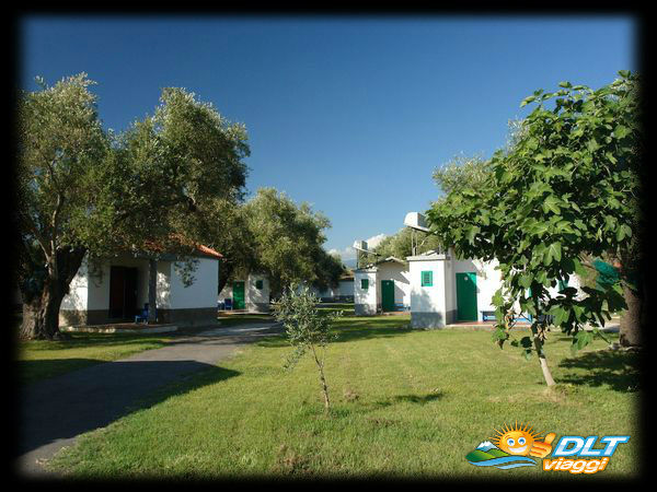VILLAGGIO TURISTICO ELEA | Marina di Ascea, Campania | DLT Viaggi